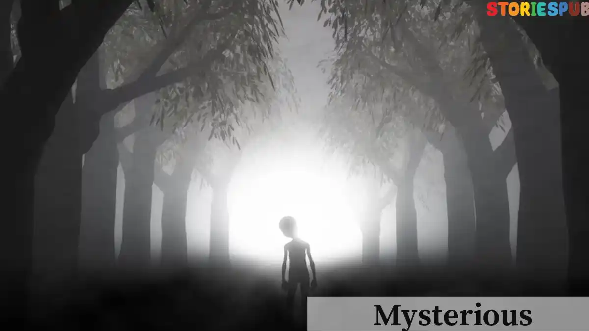 The Mysterious Stranger A Mysterious Story Storiespub The Mysterious Stranger A Mysterious Story Storiespub