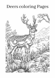 Deers coloring pages for Kids - Storiespub
