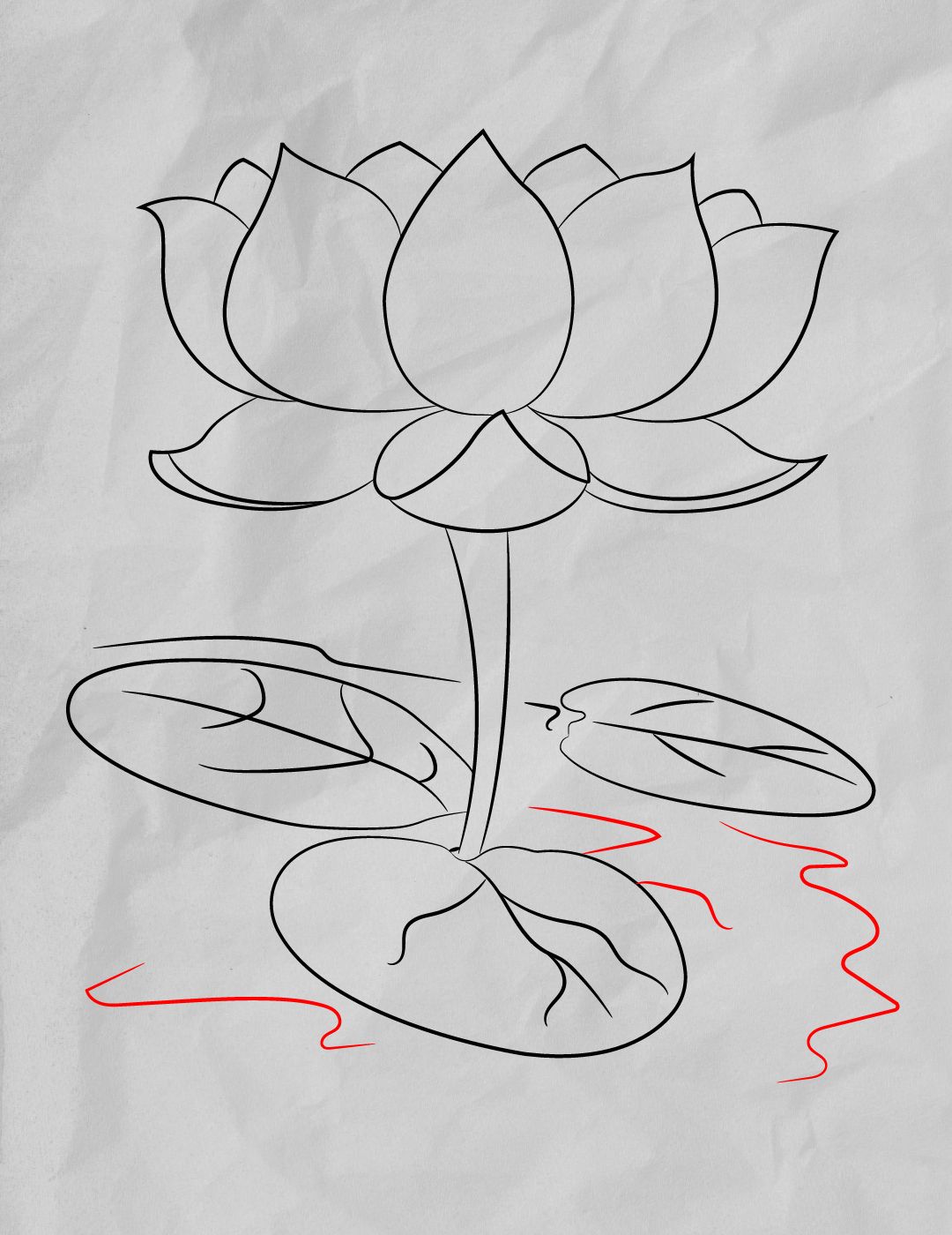 How To Draw A Lotus Flower | Easy Step By Step | Storiespub