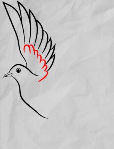 How To Draw A Flying Dove Bird | Step By Step | Storiespub