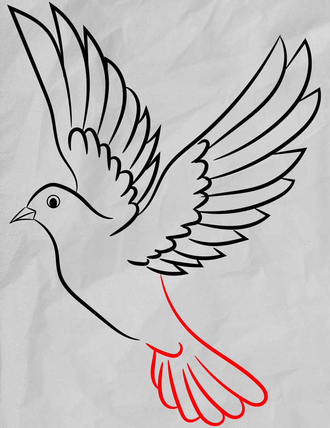 How To Draw A Flying Dove Bird | Step By Step | Storiespub