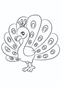 How To Draw A Peacock Step By Step- Easy Drawing | Storiespub