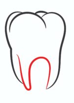 How To Draw A Tooth Step By Step Easy Drawing | Storiespub