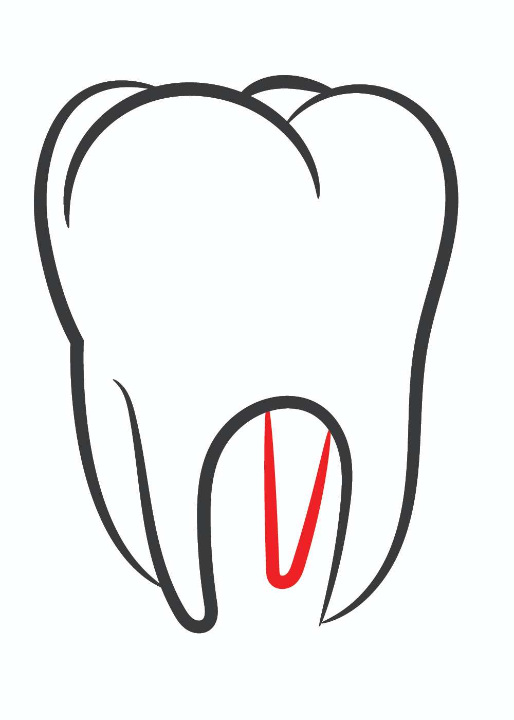 How To Draw A Tooth Step By Step Easy Drawing | Storiespub