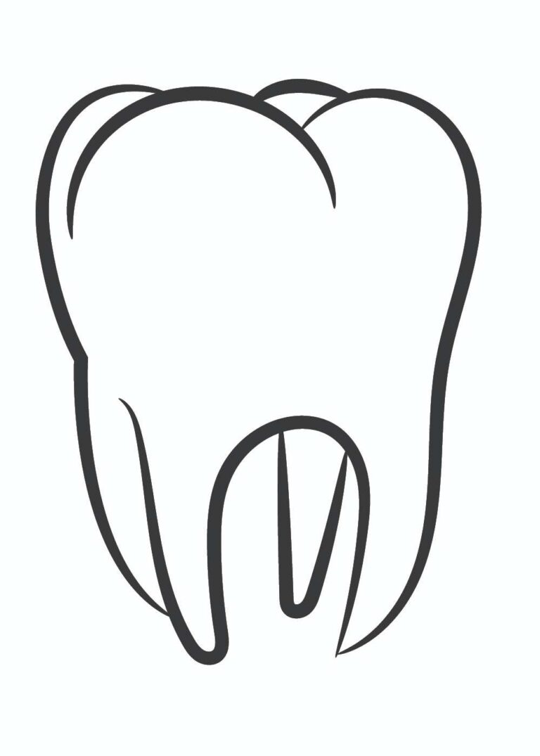 How To Draw A Tooth Step By Step Easy Drawing | Storiespub