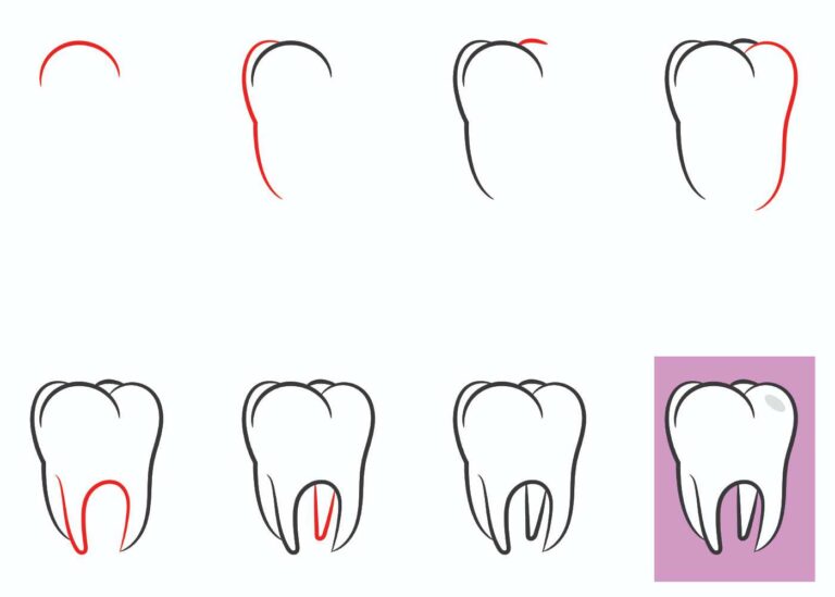 How To Draw A Tooth Step By Step Easy Drawing | Storiespub
